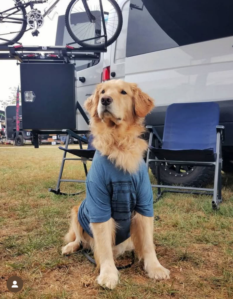 Best Vans for Dog Owners: Pet-Friendly Camper Van Guide | Sportsmobile