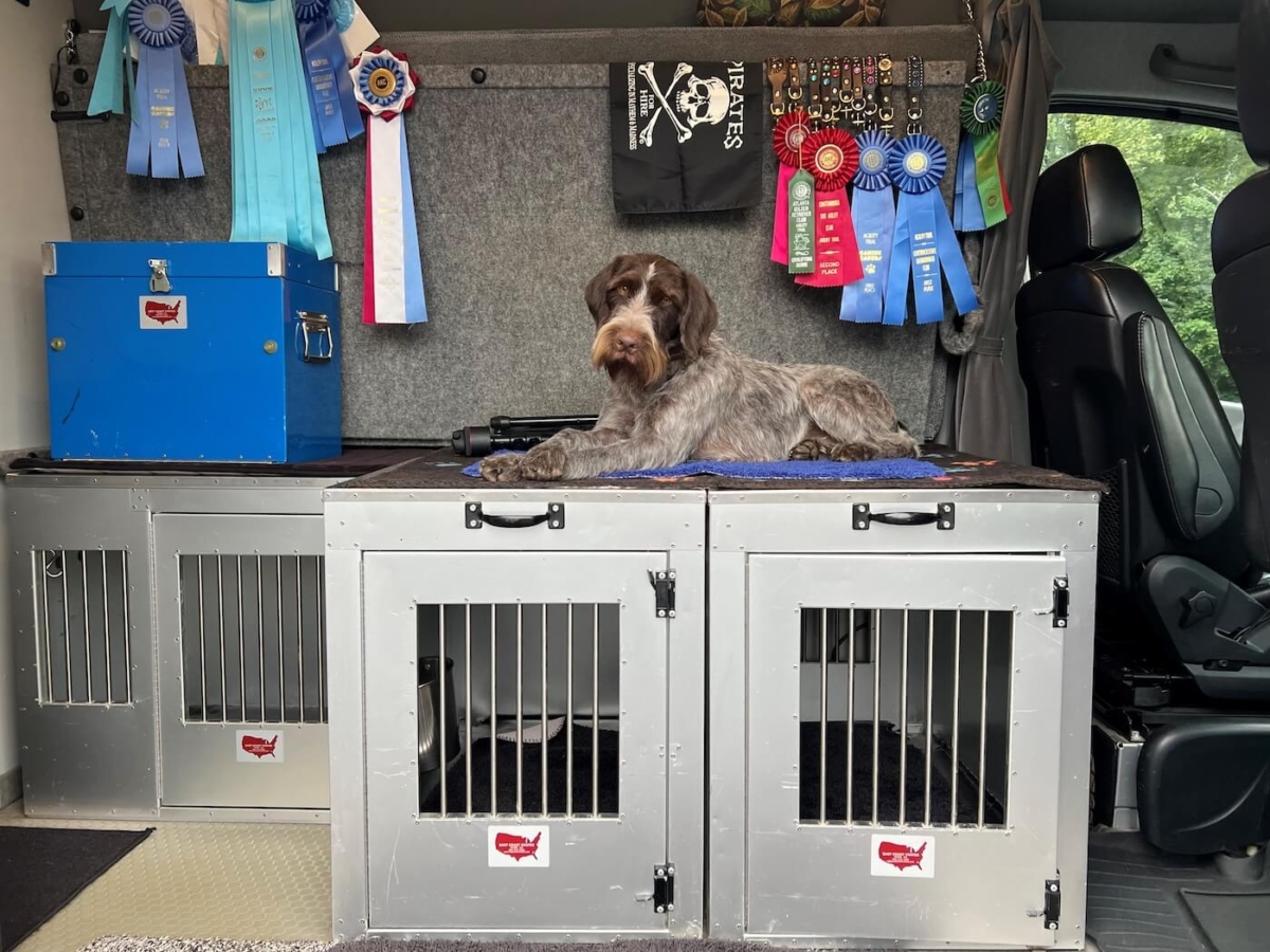 Sprinter Camper Van + Design Gallery + Unleashed Adventures