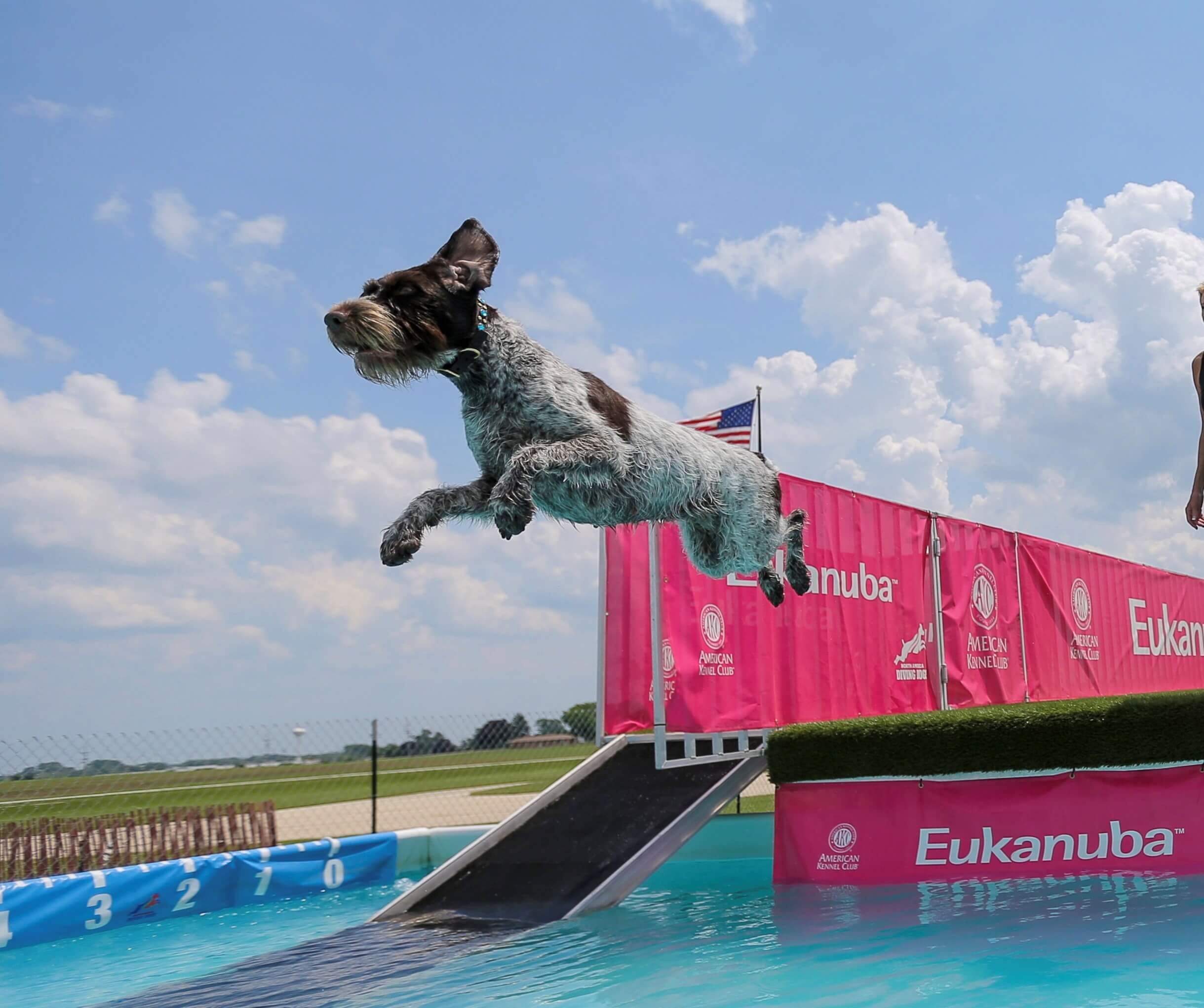 Sprinter Camper Van + Design Gallery + Unleashed Adventures