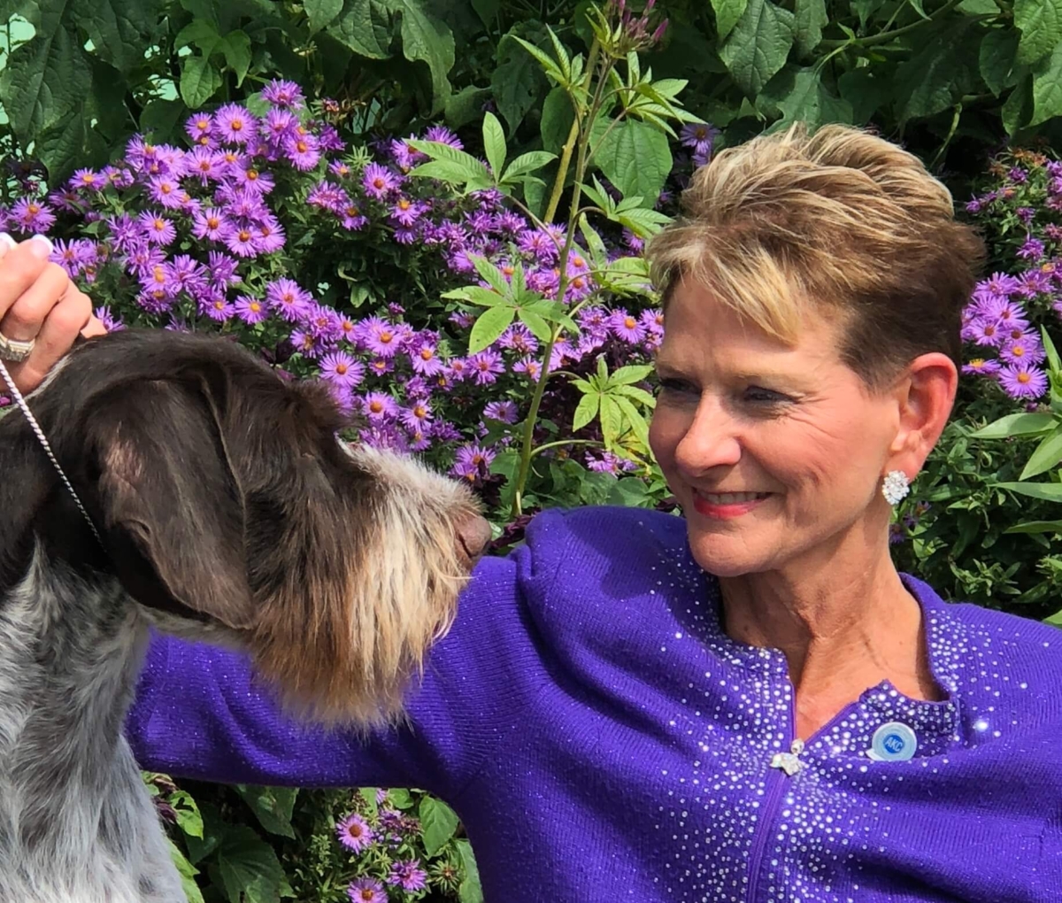 Sprinter Camper Van + Design Gallery + Unleashed Adventures